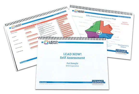 LEAD NOW! Self Assessment - Stewart Leadership