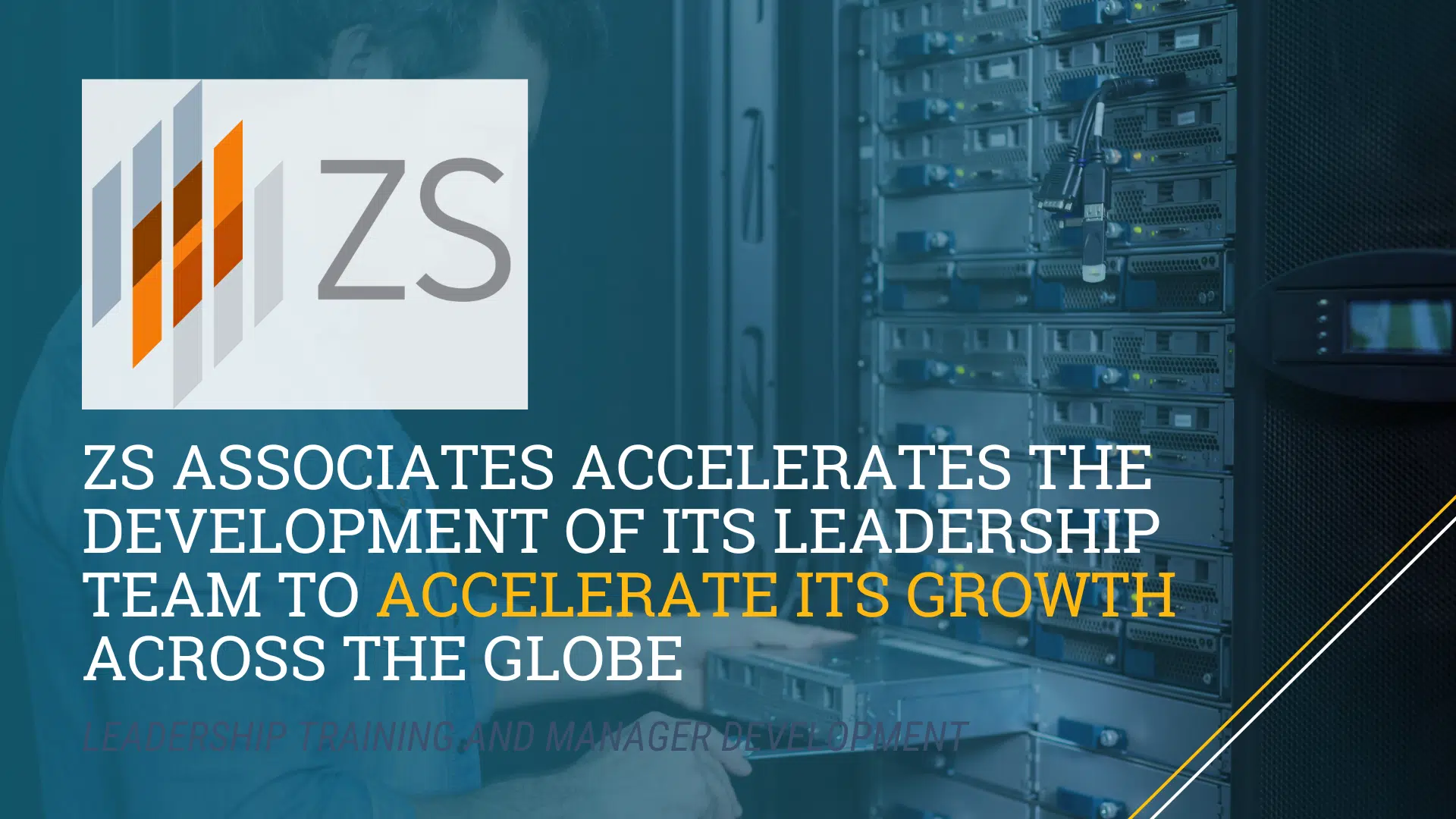 Case Studies - Stewart Leadership