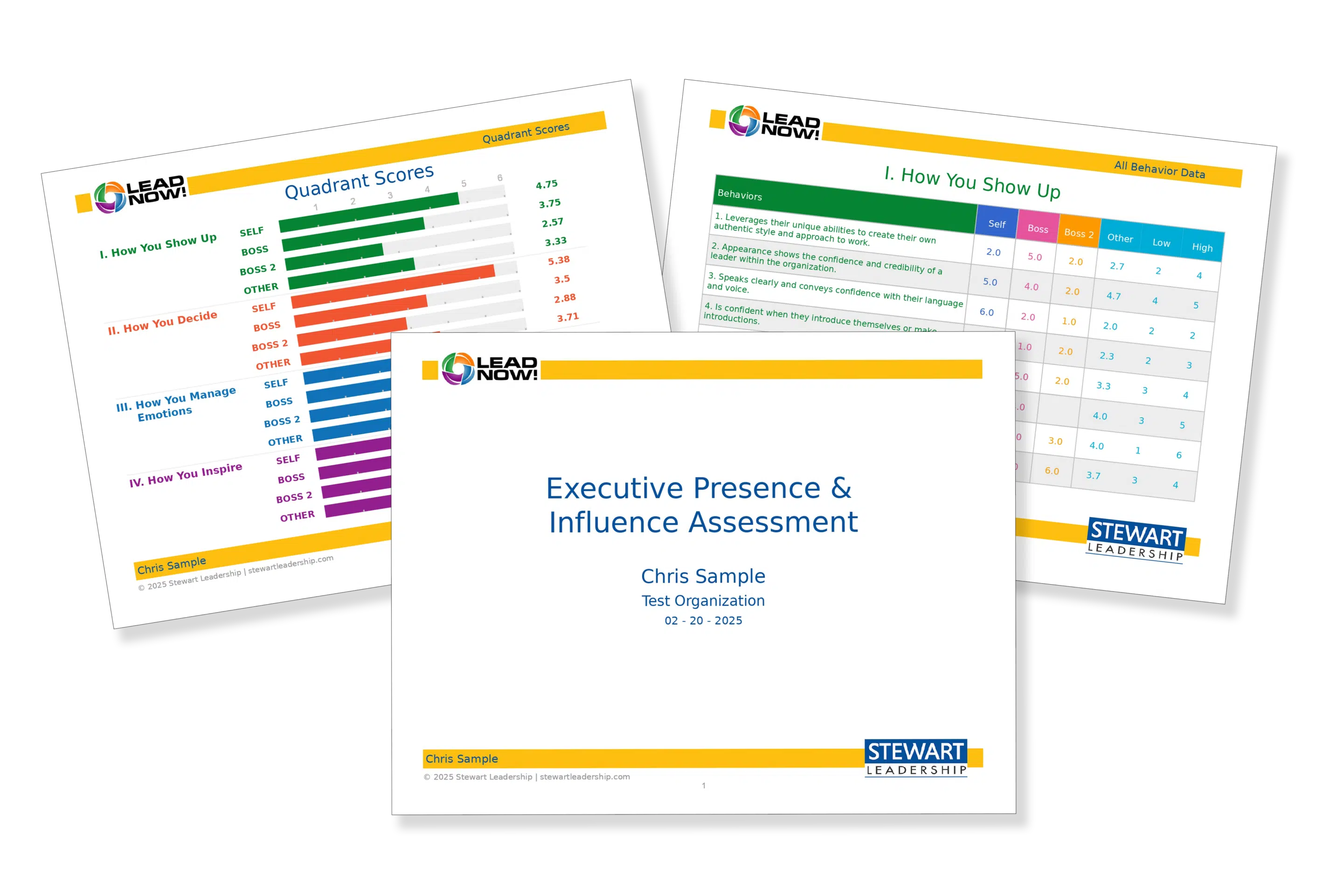 Executive Presence Model - Stewart Leadership