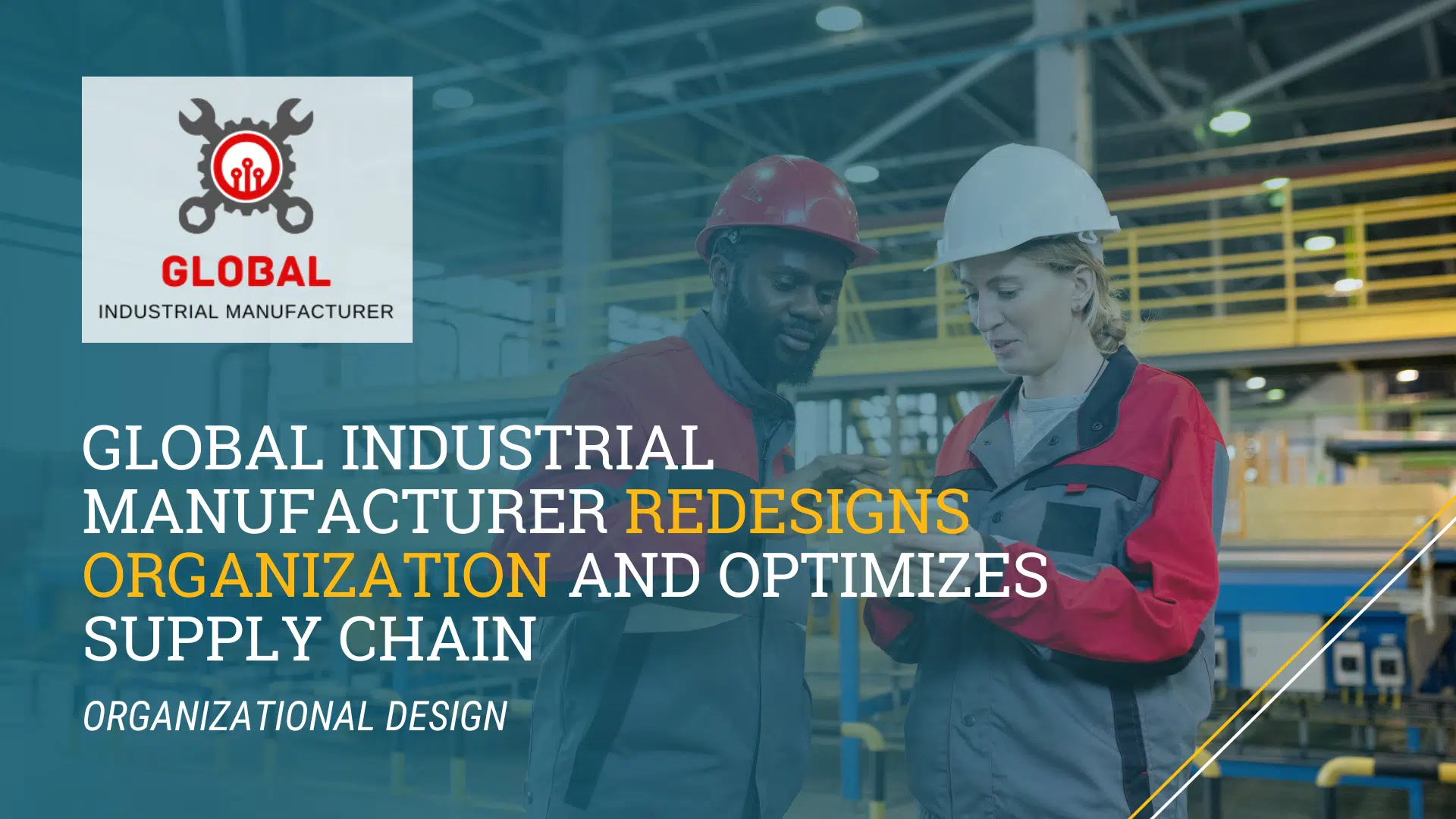 Case Studies - Stewart Leadership